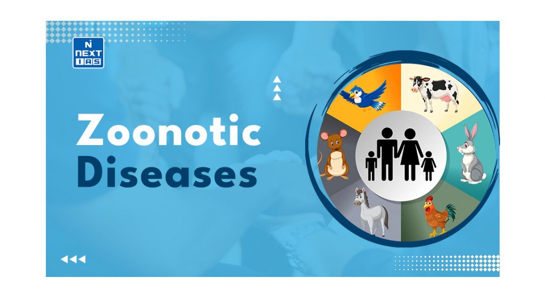 Zoonotic Diseases: Classification, Cause & Impact