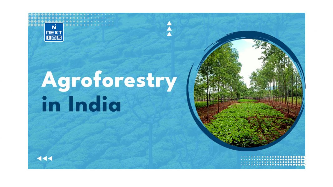 Agroforestry in India: Objective, Benefits & Classification