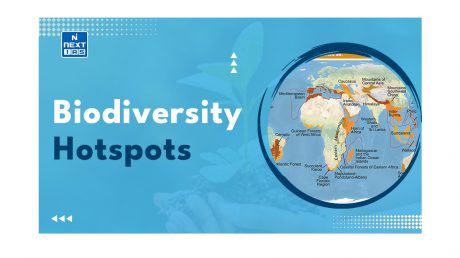 Biodiversity Hotspots: Definition, Criteria and Hotspots