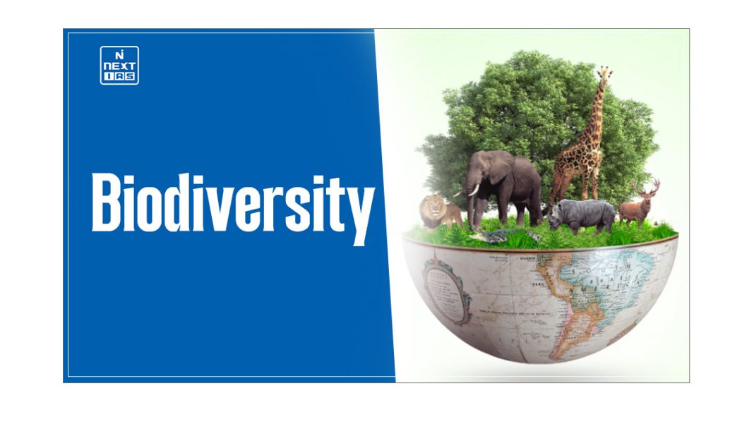 Biodiversity: Definition, Levels, Components & More