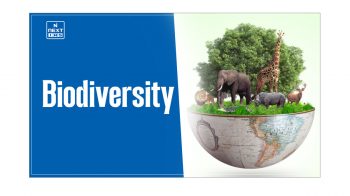 Biodiversity: Definition, Levels, Components & More