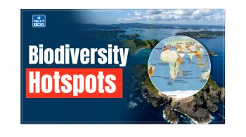 Biodiversity Hotspots: Meaning, Criteria & More