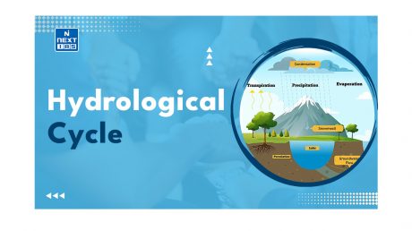 Hydrological Cycle: Definition and its Component