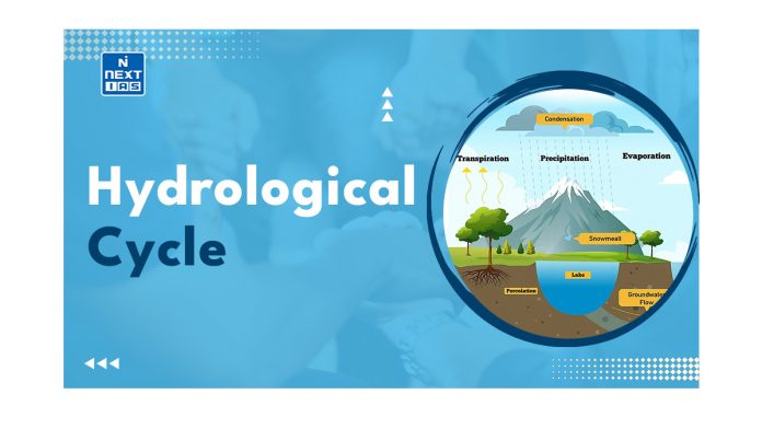 Hydrological Cycle: Definition and its Component