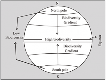 Biodiversity: Definition, Levels, Components & More