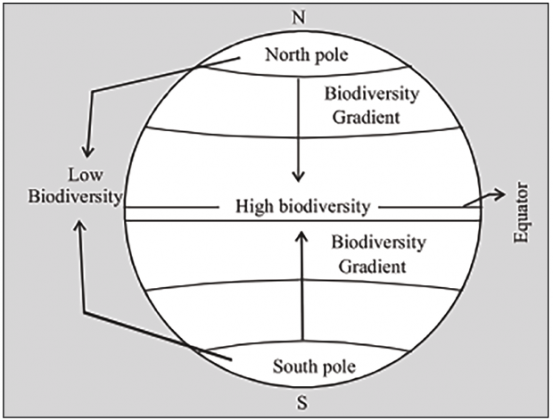 Biodiversity: Definition, Levels, Components & More
