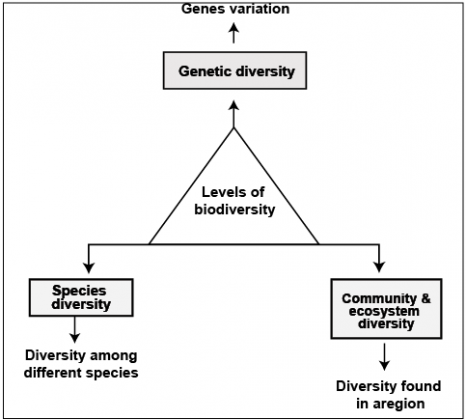 Biodiversity: Definition, Levels, Components & More