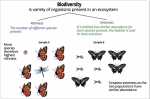 Biodiversity: Definition, Levels, Components & More