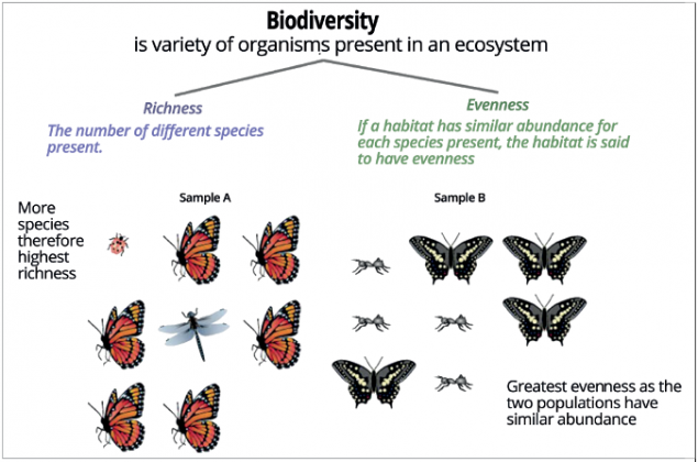 Biodiversity: Definition, Levels, Components & More