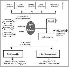 Environmental Pollution: Types, Causes, Consequences, Measures