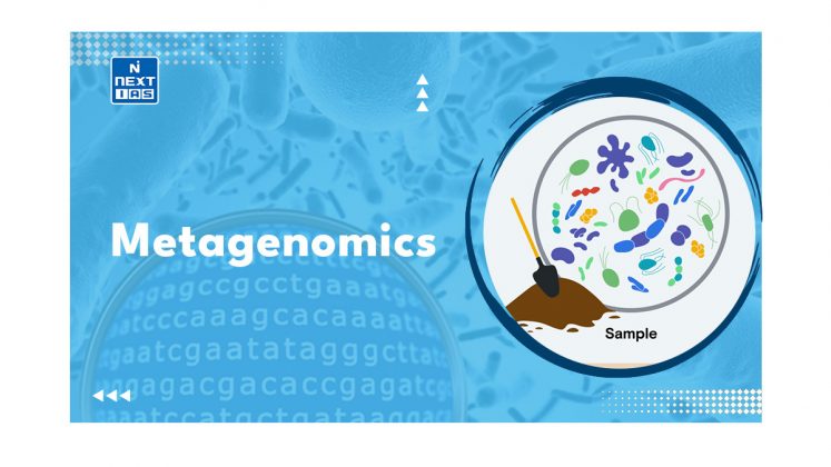 Metagenomics: Decoding the Hidden Microbial Universe