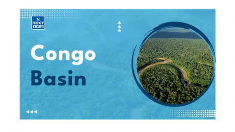 Congo Basin: Location, Geographical Features, Peatland
