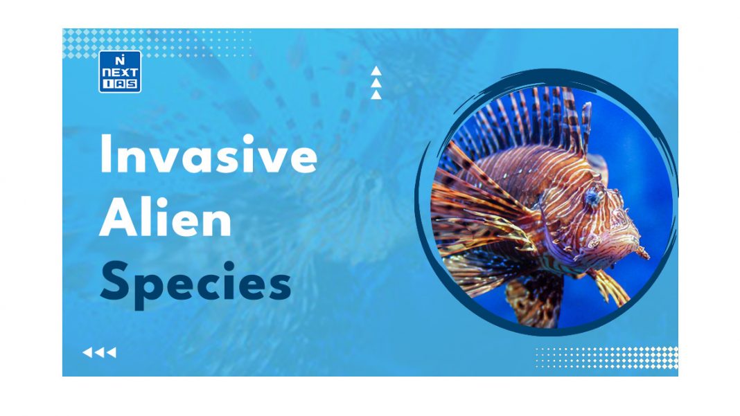 Invasive Alien Species: Characteristics & Measures Taken
