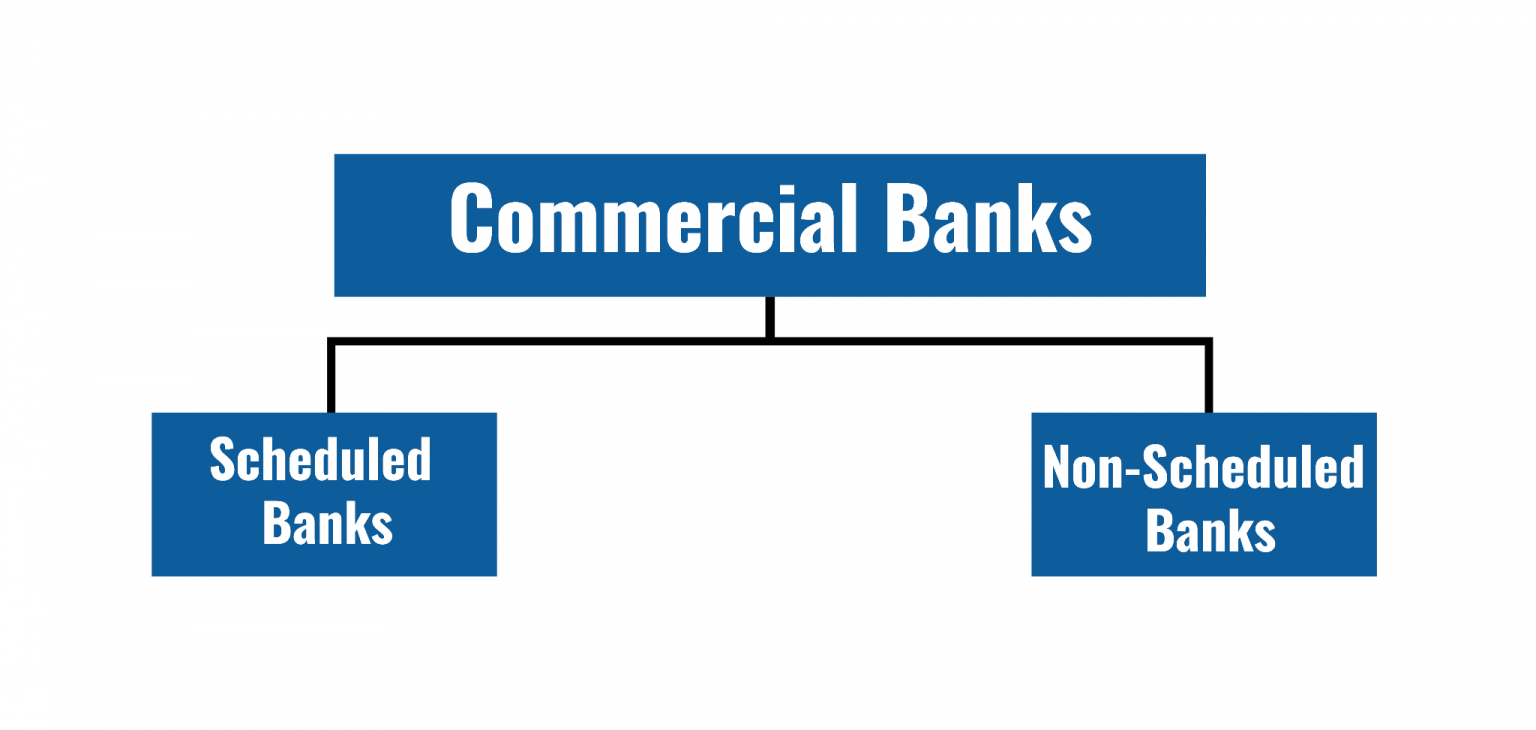 Commercial Banks in India: Meaning, Types & Significance