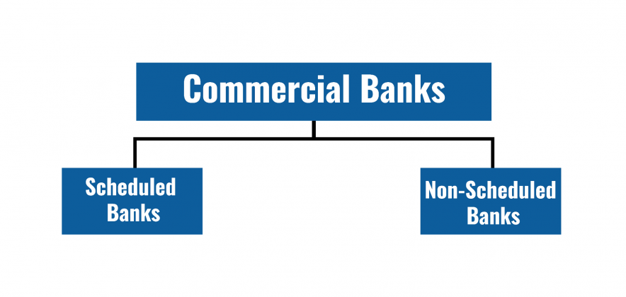 Commercial Banks in India: Meaning, Types & Significance