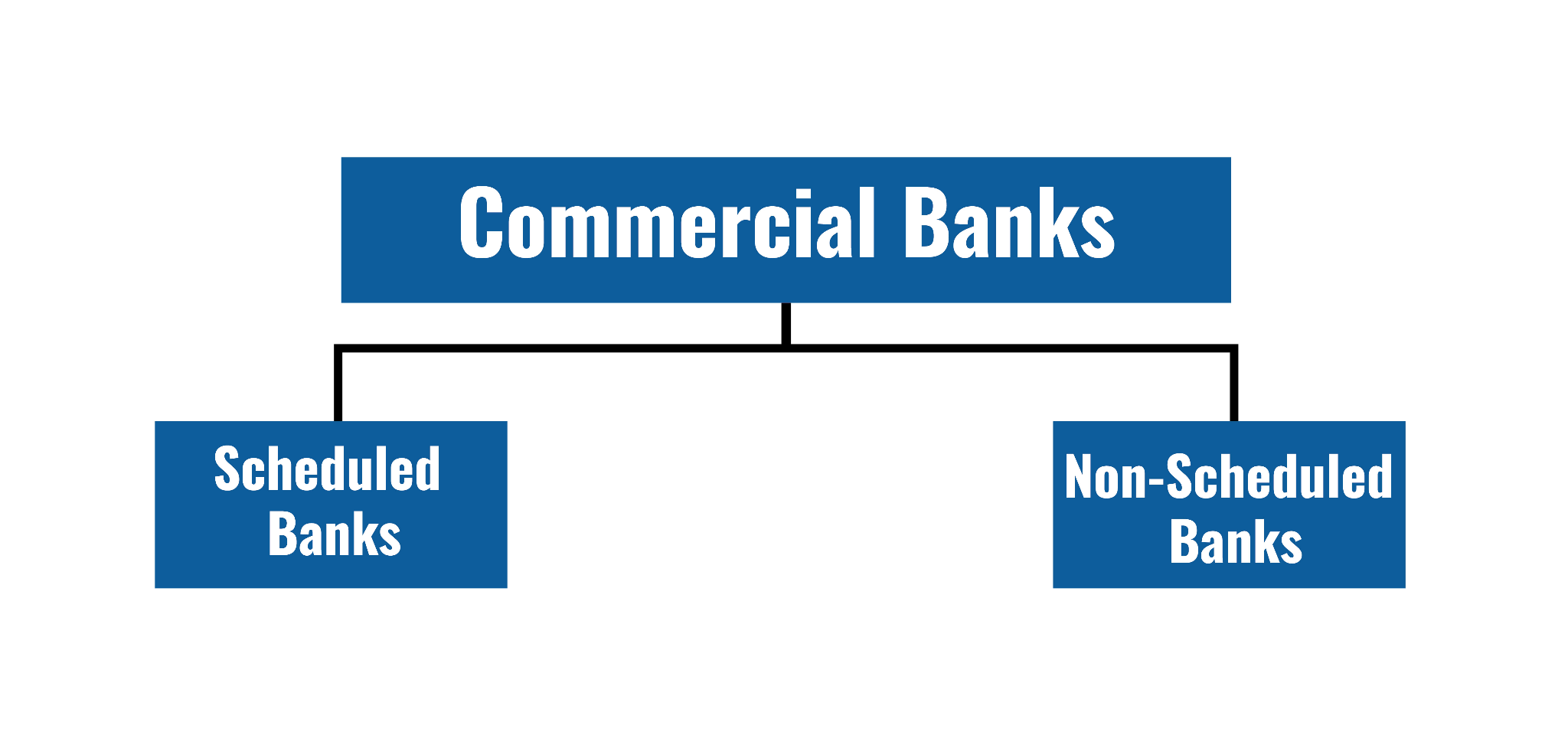 Commercial Banks in India: Meaning, Types & Significance