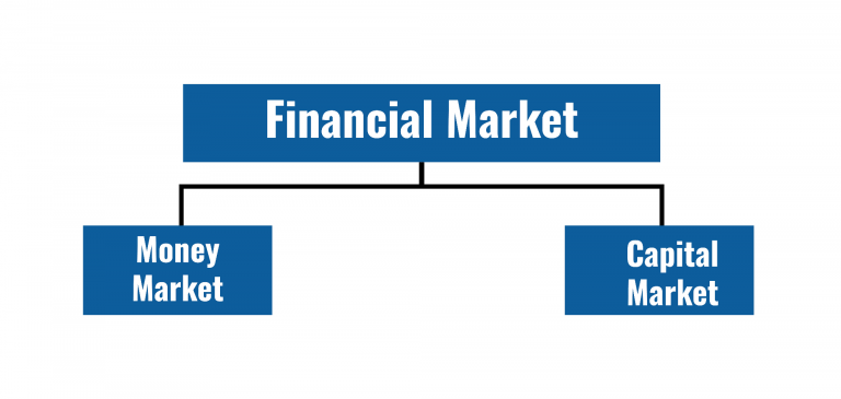 Financial Market: Meaning, Classification, Roles & More