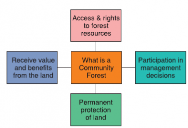Social Forestry: Meaning, Objectives, Types & More