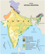 Natural Vegetation in India: Types, Classification, Significance & More
