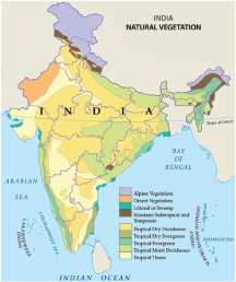Natural Vegetation in India: Types, Classification, Significance & More