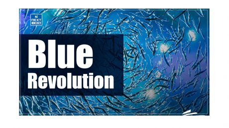 Blue Revolution: History, Features, Objectives & More