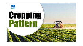 Cropping Pattern in India: Types, Factors & More