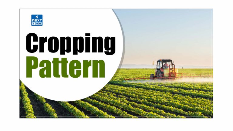 Cropping Pattern in India: Types, Factors & More