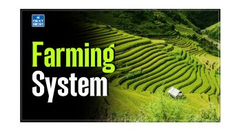 Farming System: Meaning, Objectives, Types & More