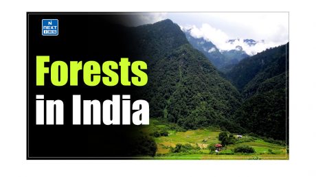 Forests in India: Issues and Conservation