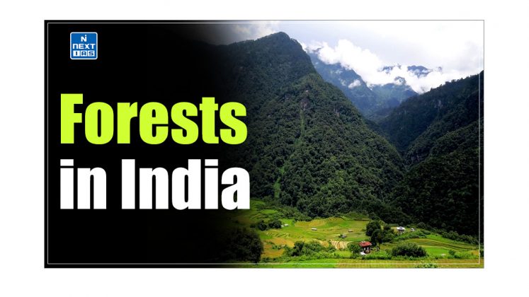 Forests in India: Issues and Conservation