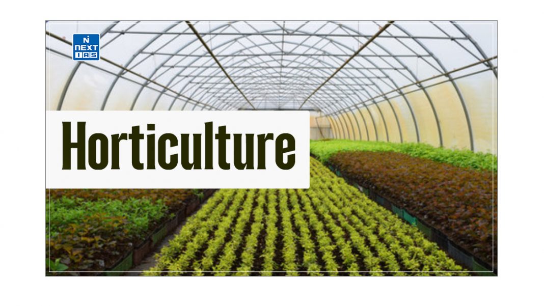 Horticulture: Types, Importance & More