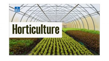Horticulture: Types, Importance & More
