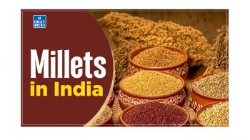 Millets in India: Types, Production, Benefits & More