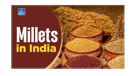 Millets in India: Types, Production, Benefits & More
