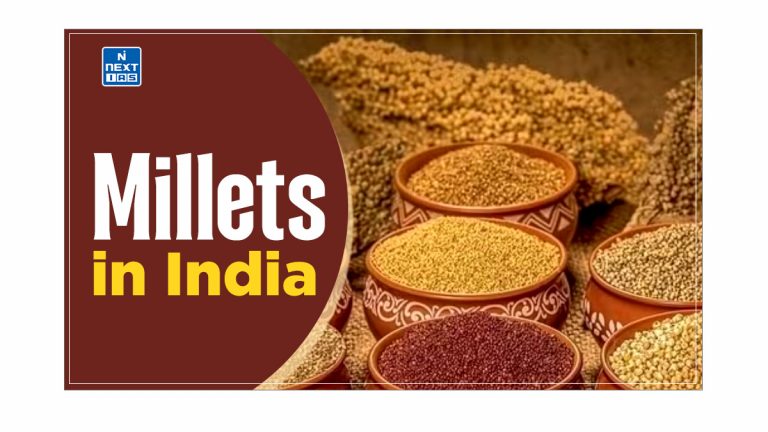 Millets in India: Types, Production, Benefits & More