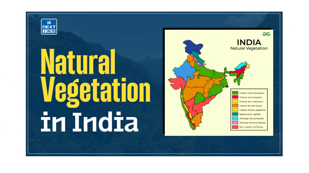 Natural Vegetation in India: Types, Classification, Significance & More