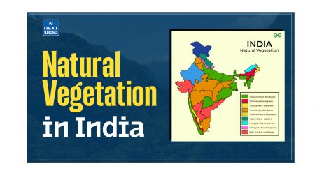 Natural Vegetation in India: Types, Classification, Significance & More