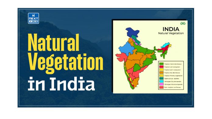 Natural Vegetation in India: Types, Classification, Significance & More