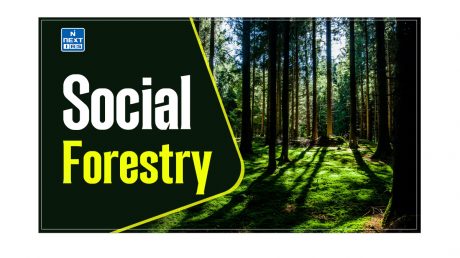 Social Forestry: Meaning, Objectives, Types & More