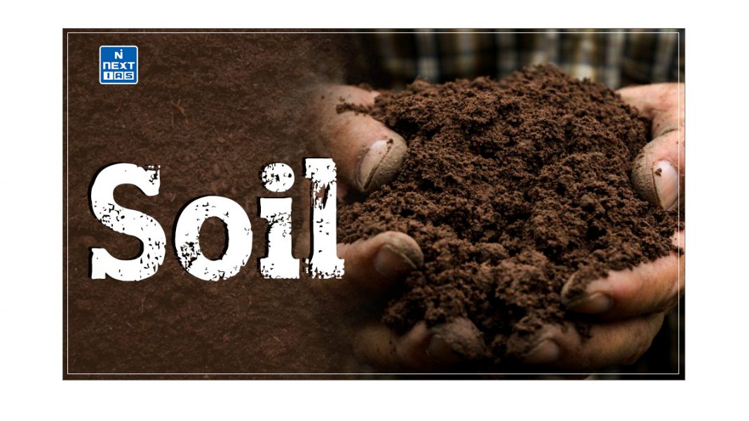 Soil: Meaning, Features & Soil Profile