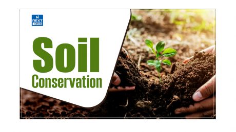 Soil Conservation: Meaning, Techniques, Practices & More