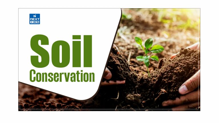 Soil Conservation: Meaning, Techniques, Practices & More