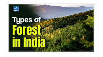 Types of Forest in India: Features, Climatic Conditions & Distribution