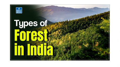 Types of Forest in India: Features, Climatic Conditions & Distribution
