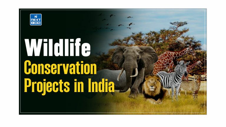 Wildlife Conservation Projects in India: A Detailed Guide