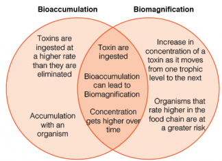 Energy Flow in Ecosystem: Food Chain & Web