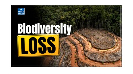 Biodiversity Loss: Meaning, Causes & Consequences