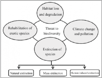 Biodiversity Loss: Meaning, Causes & Consequences