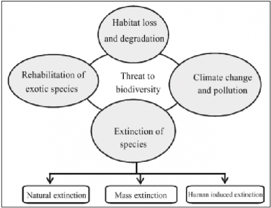 Biodiversity Loss: Meaning, Causes & Consequences