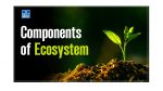 Components of Ecosystem: Abiotic & Biotic Components